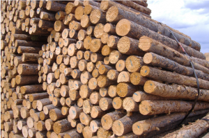 Fence Stays – Lodgepole Products, Inc.